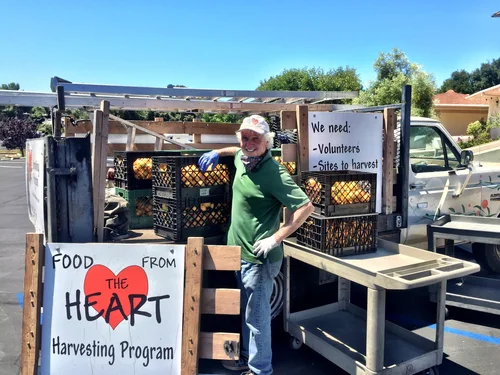 Harvest Program — Food From The Heart