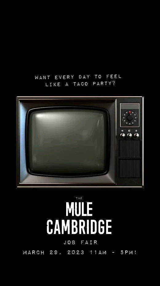 VIBE CHECK — The Mule Cambridge