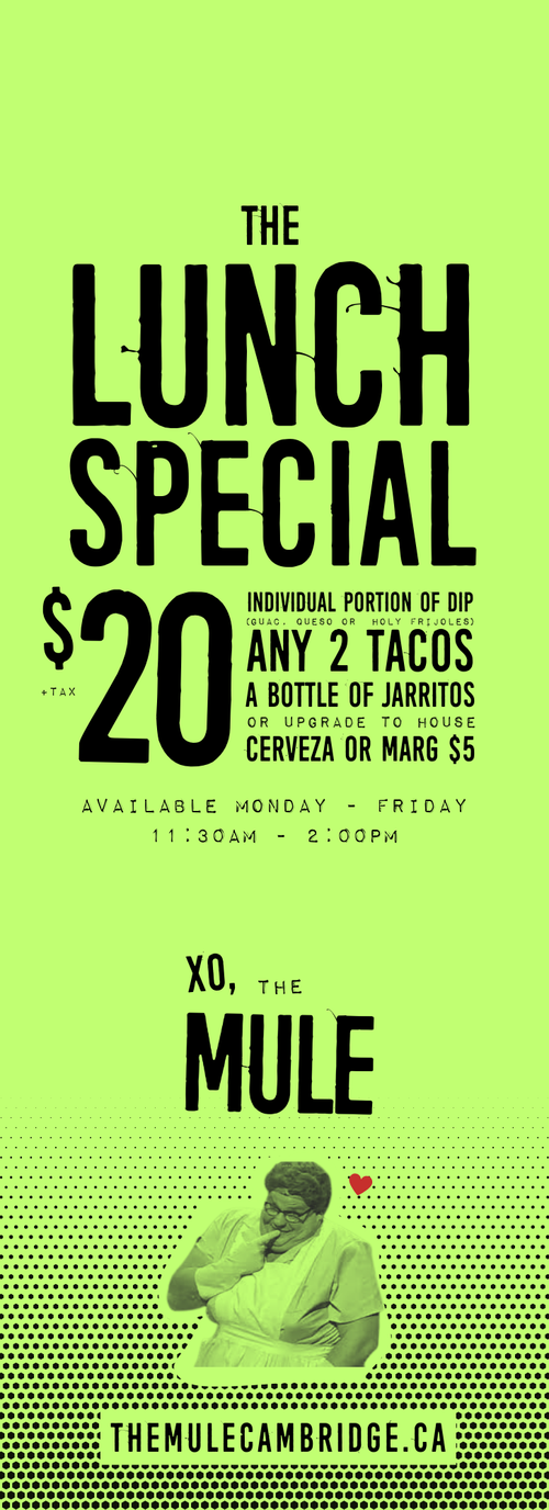 NEWS & EVENTS — The Mule Cambridge