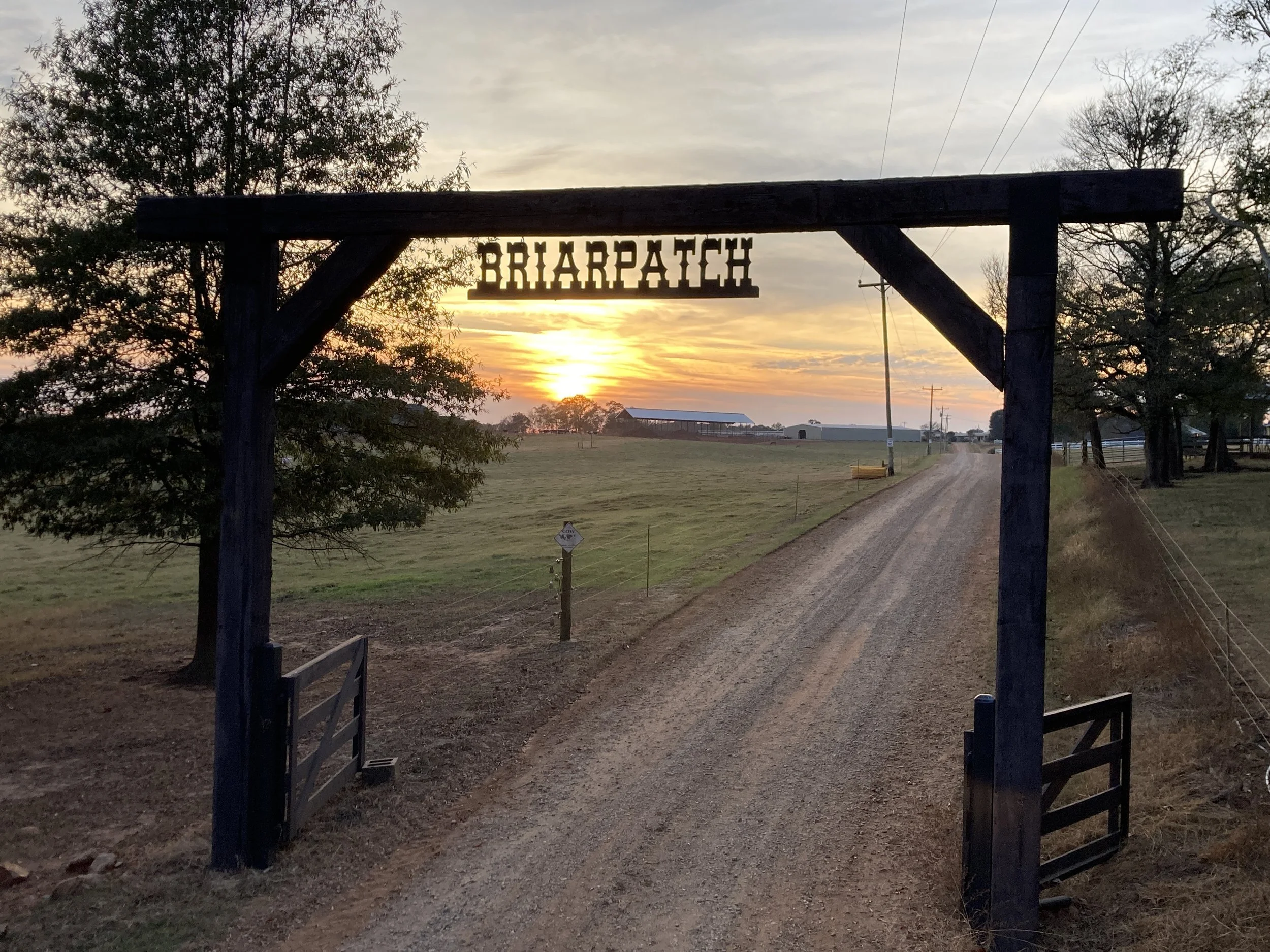 Our Story — Briarpatch Farm