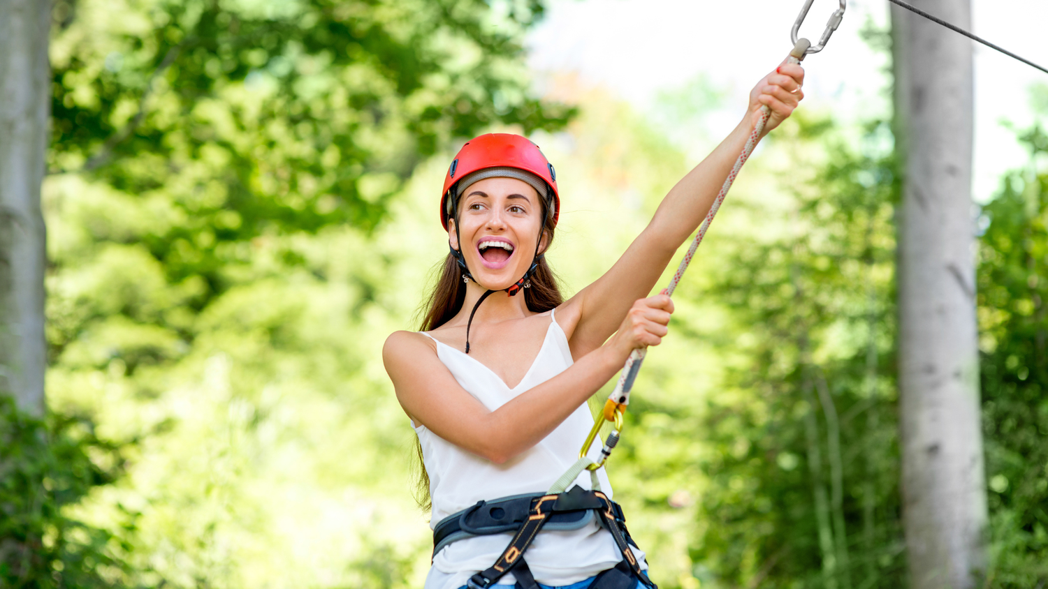 Local Attractions Guide | Discover & Book Now — Firefly Hills Kentucky