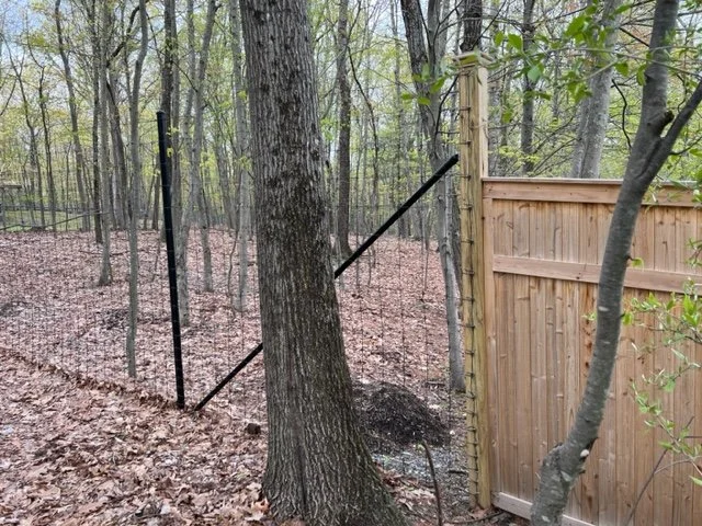 Deer Fence — Berkshire Fence Company