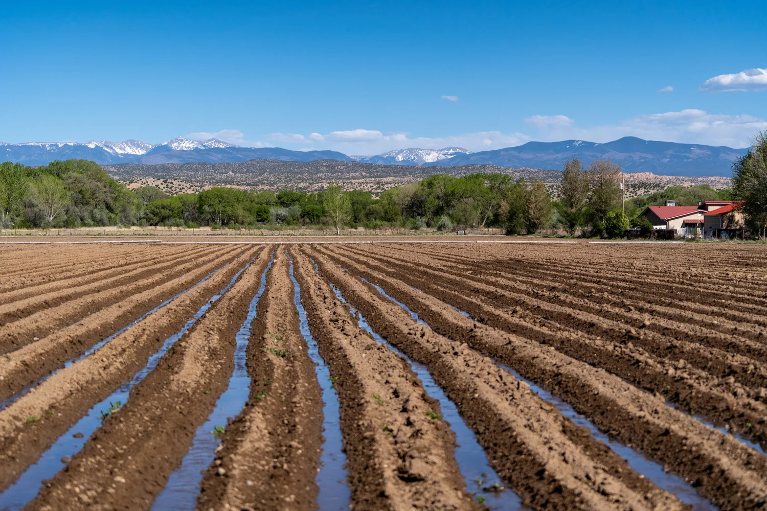 The New Mexico Association of Food Banks