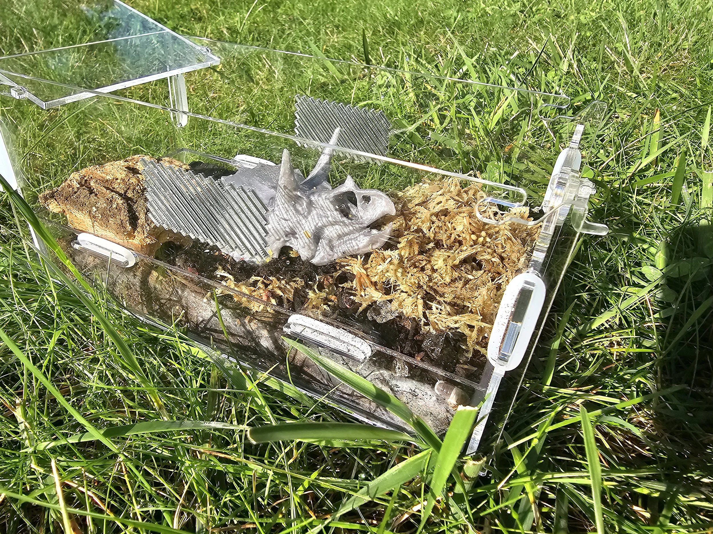 The Roly Inn Motel- Small Isopod Starter Kit — MORPHWEST EXOTICS