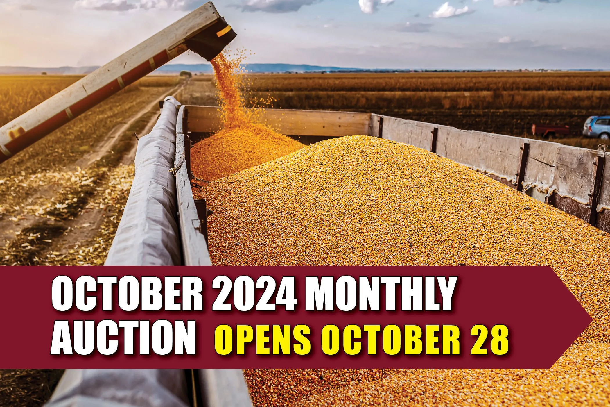 Auctions Directory — Resource Auction