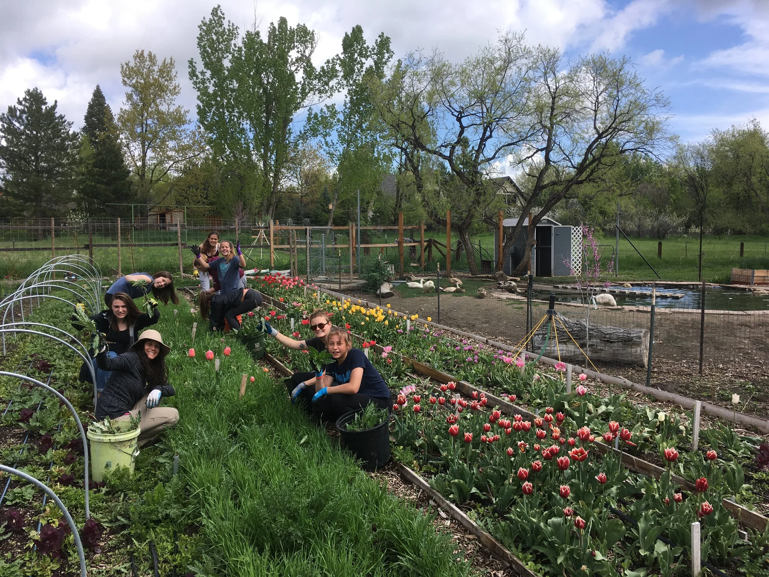 Farm Apprentice Program — Dharma's Garden