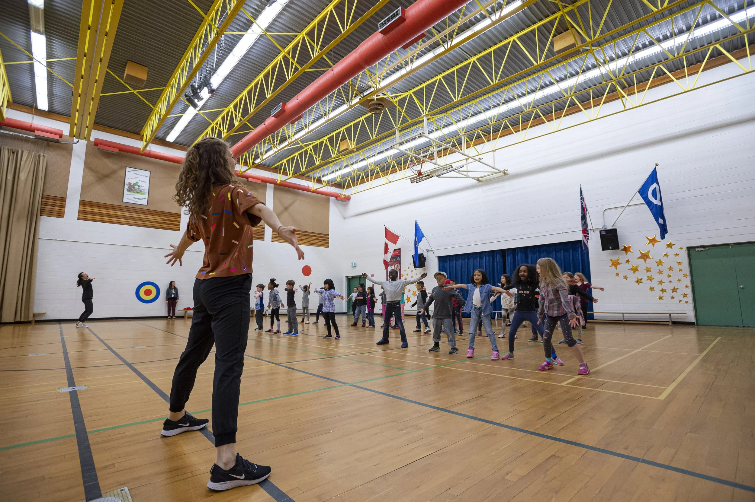 News 2 — dancED Inc.