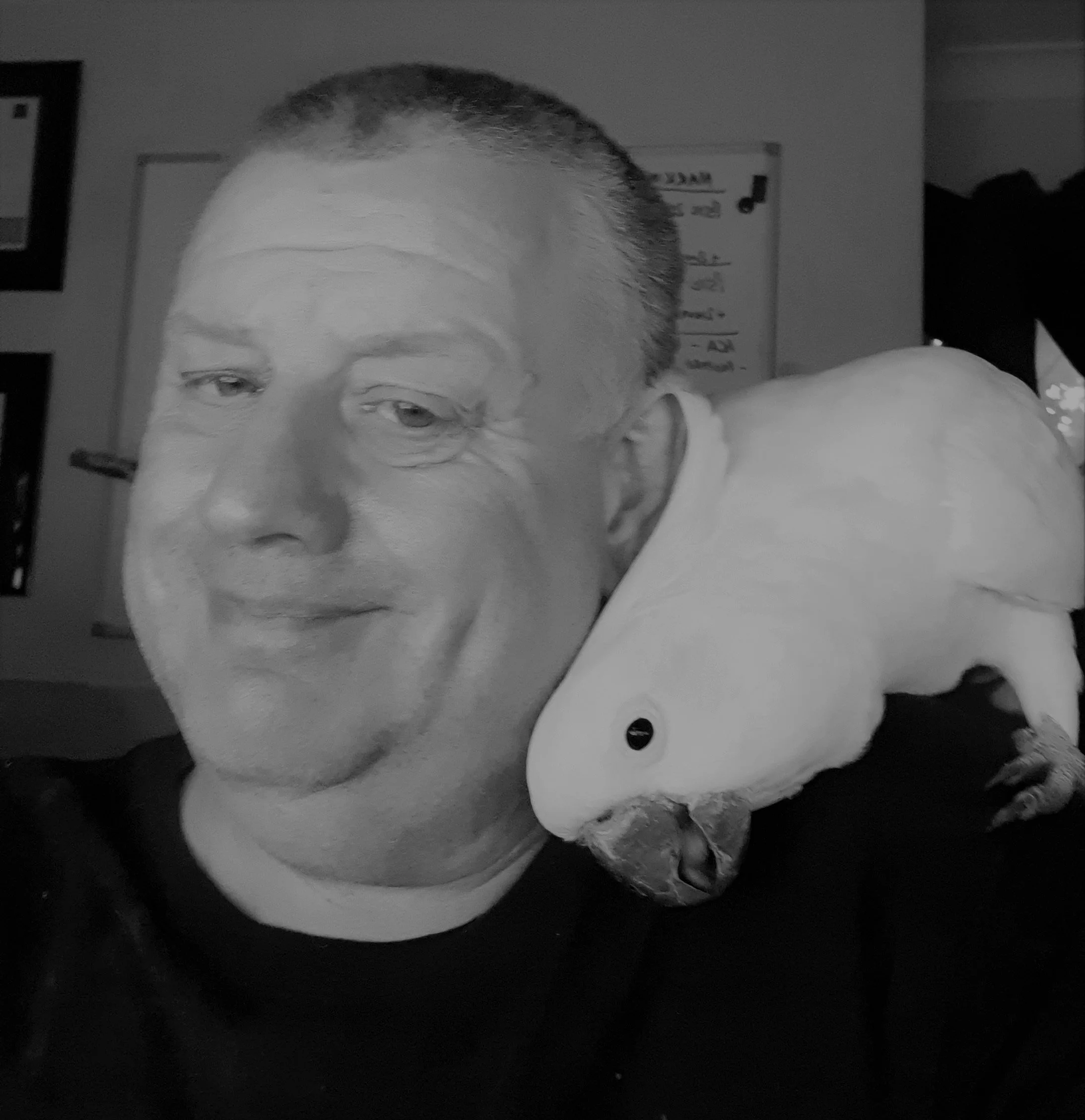 About — THE LINK FOUNDATION