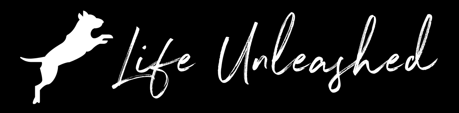 LIFE UNLEASHED New Orleans