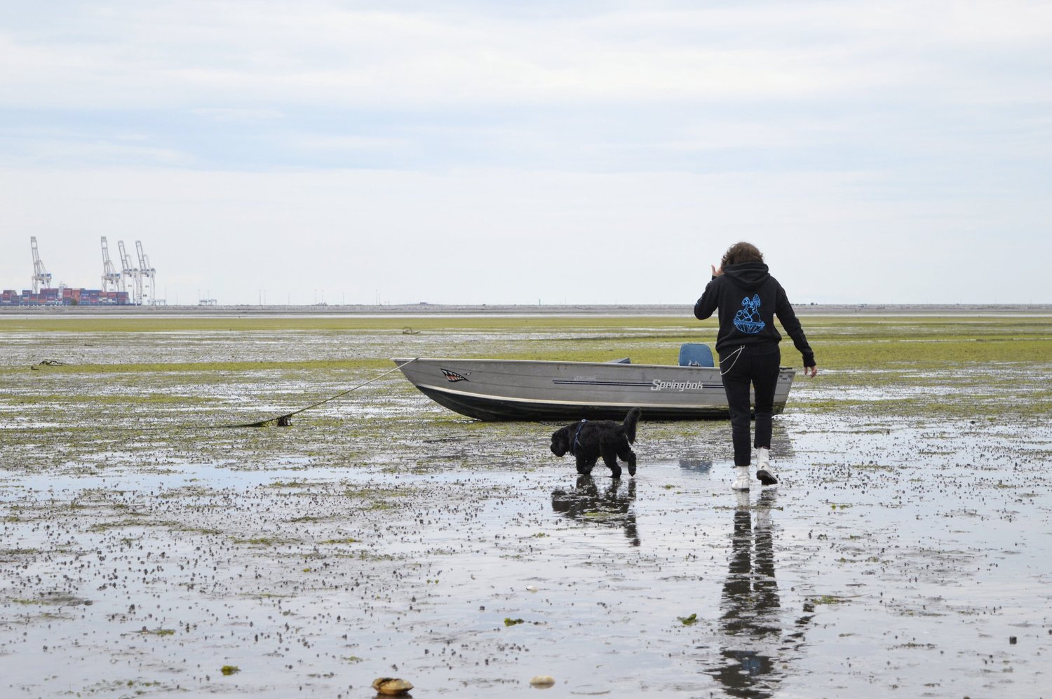 Curious Store — Curious Creatures