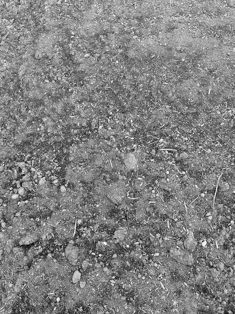 COMPOST & SOILS — MOUNTAIN STATES MATERIALS