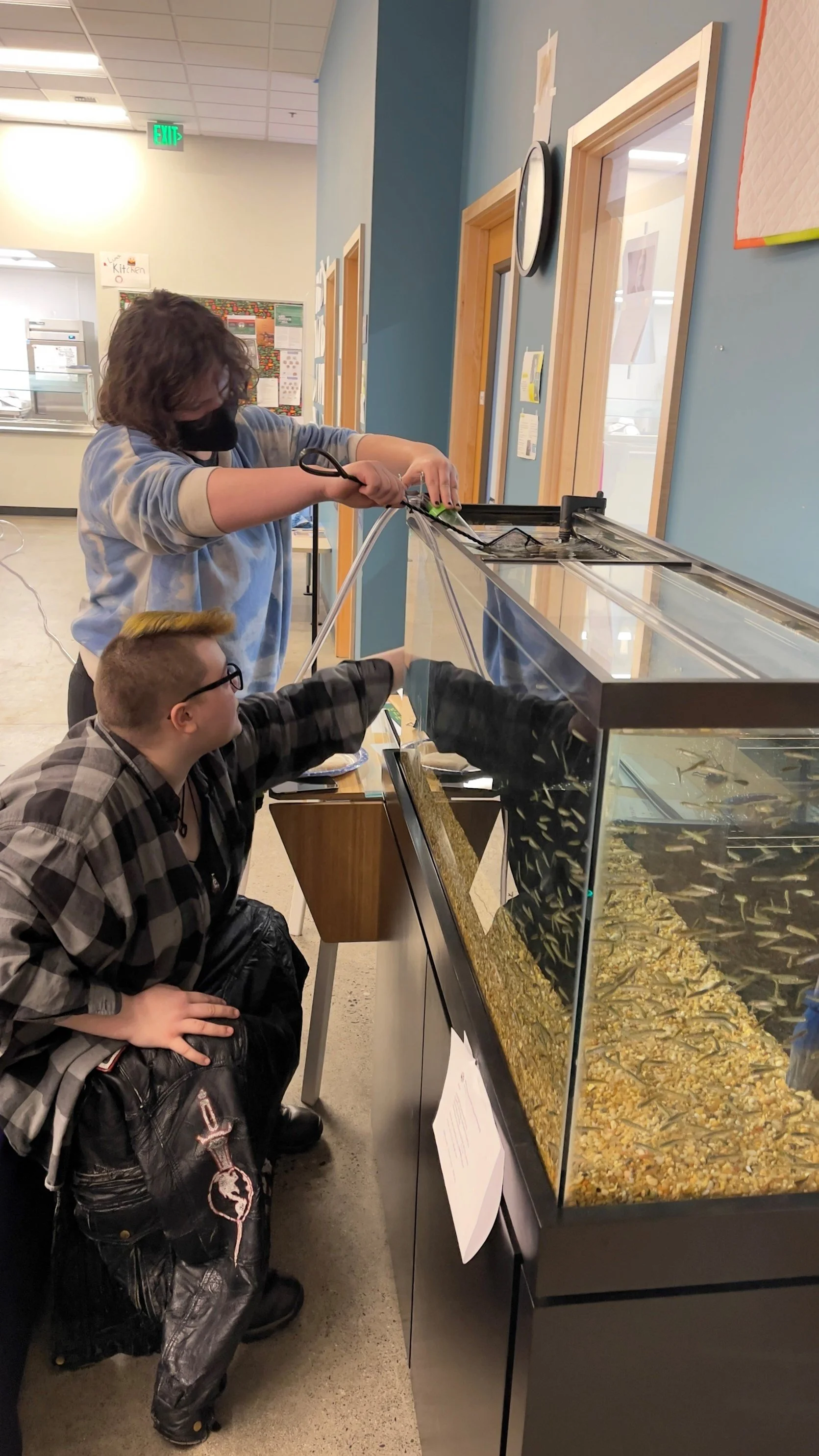 Gallery — Whatcom Intergenerational High School