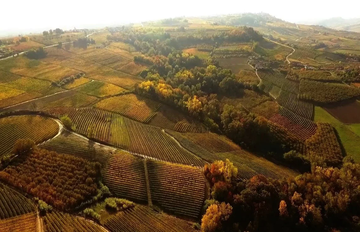 Shop Online — David Ridge Wines