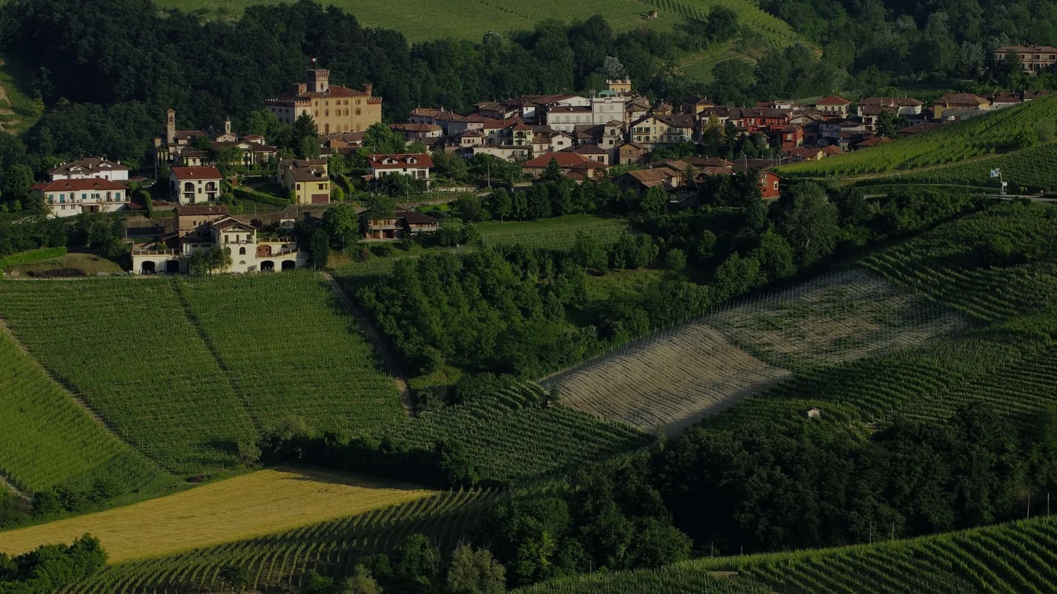 Our Producers — David Ridge Wines