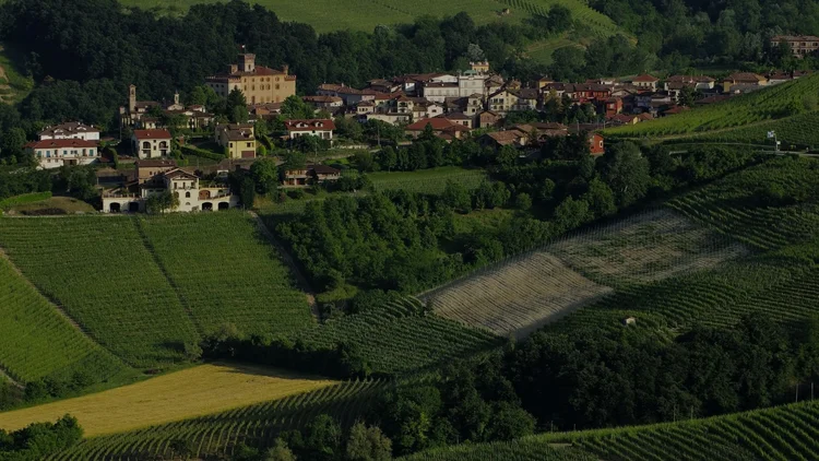 Our Producers — David Ridge Wines