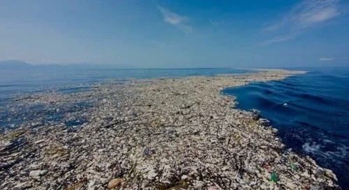 How Plastic Pollution Is Killing Our Planet and What We Can Do To Save ...