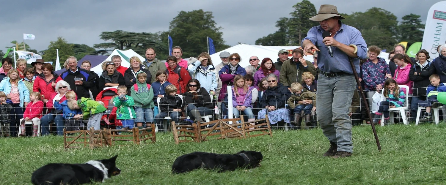 Stuart Barnes Dog Behaviourist