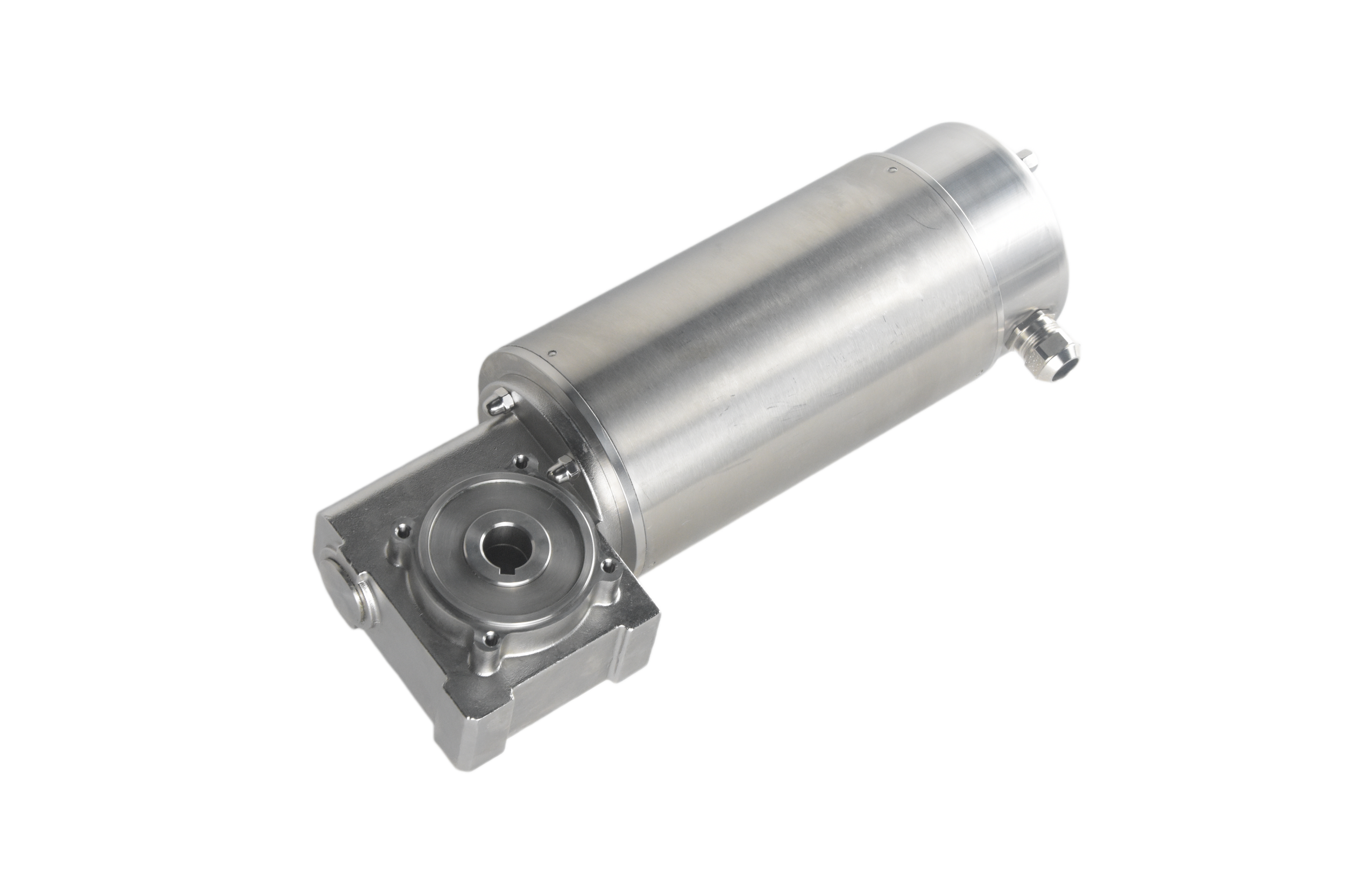 IP69K RVS Voedselveilige elektromotor met wormwielkast in divese ...