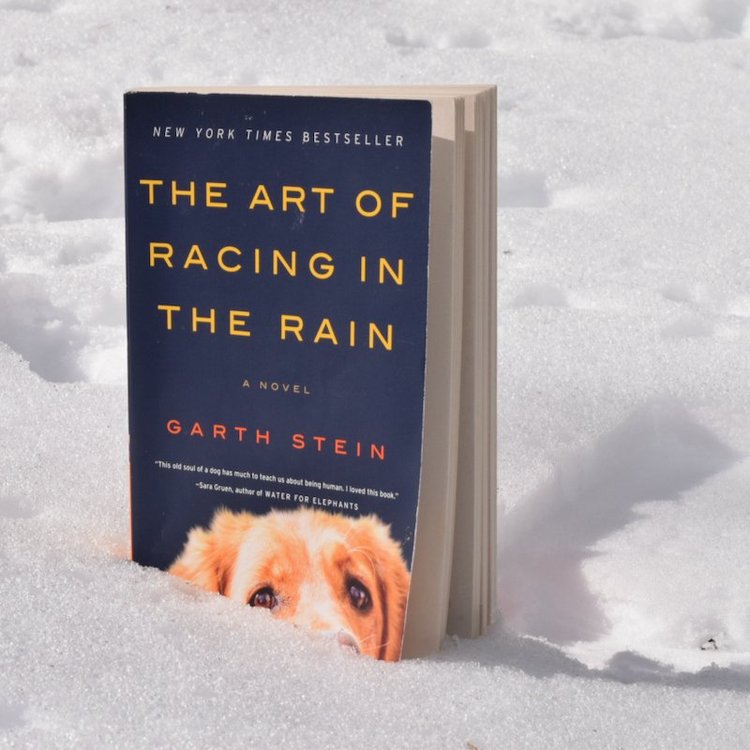The Art of Racing in the Rain — Marmalade and Mustardseed