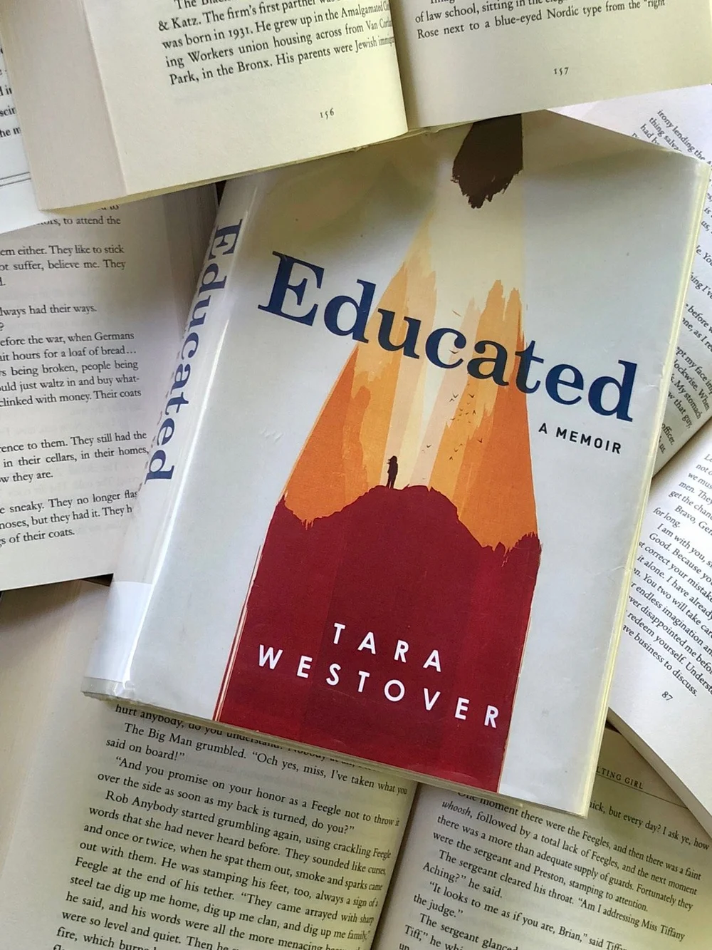 Educated a Memoir — Marmalade and Mustardseed