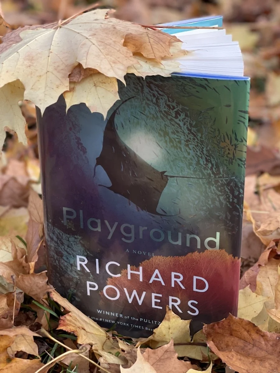 Playground book club questions with list of characters — Marmalade and ...