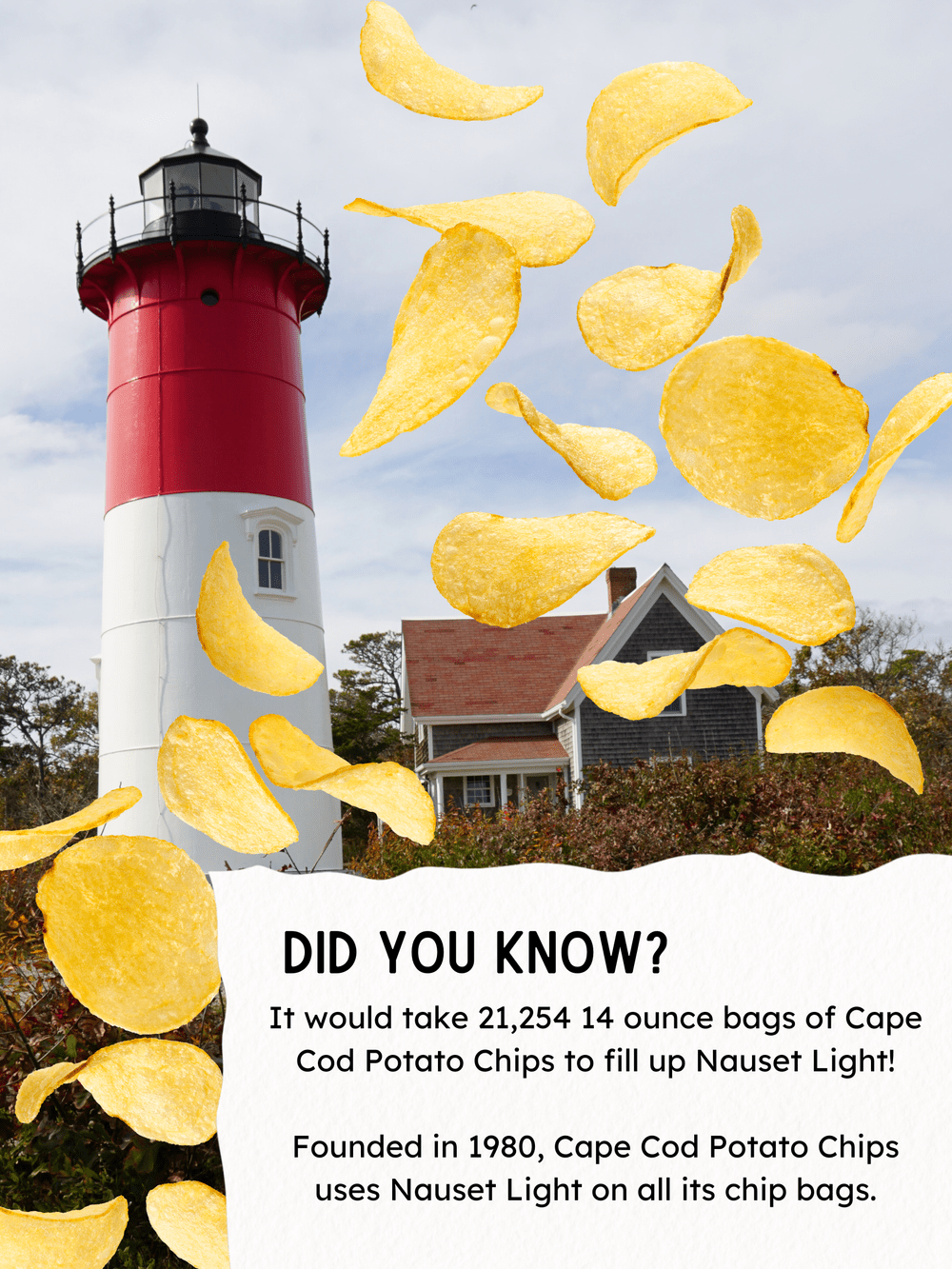 Kid's Lighthouse Potato — Cape Cod Maritime Museum