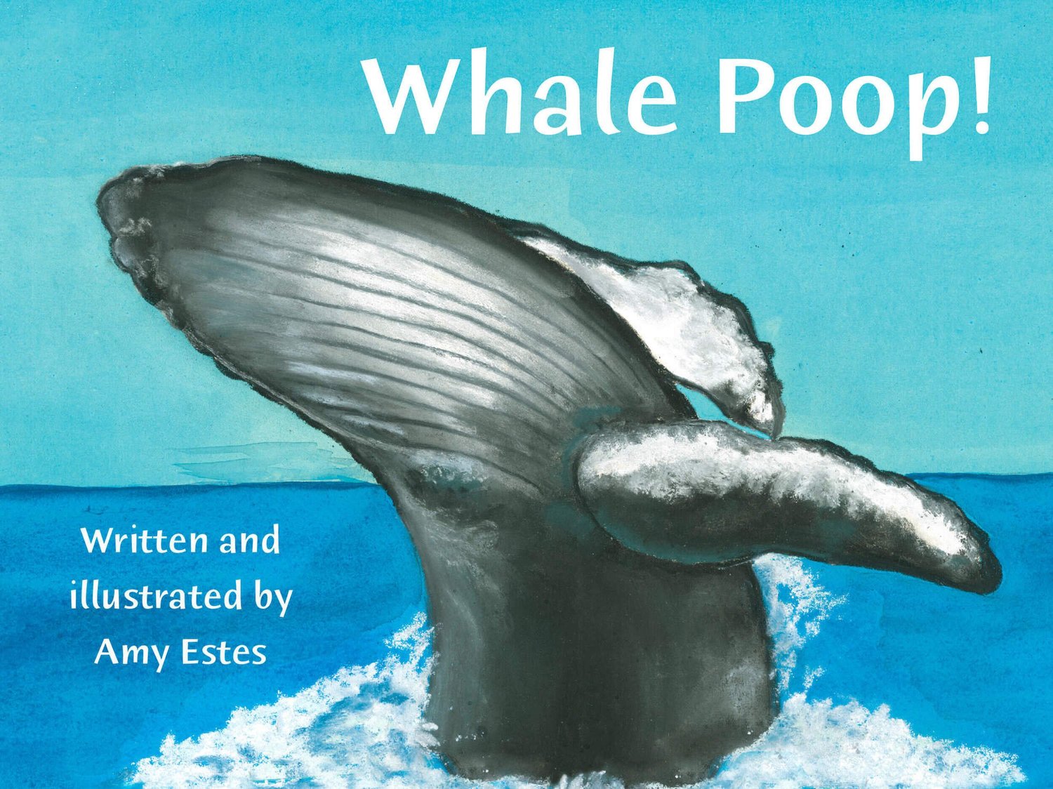 Ed-ventures at Home — Cape Cod Maritime Museum