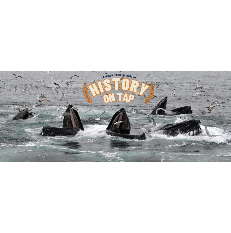 History on Tap: Whale Watches and Conservation — Cape Cod Maritime Museum