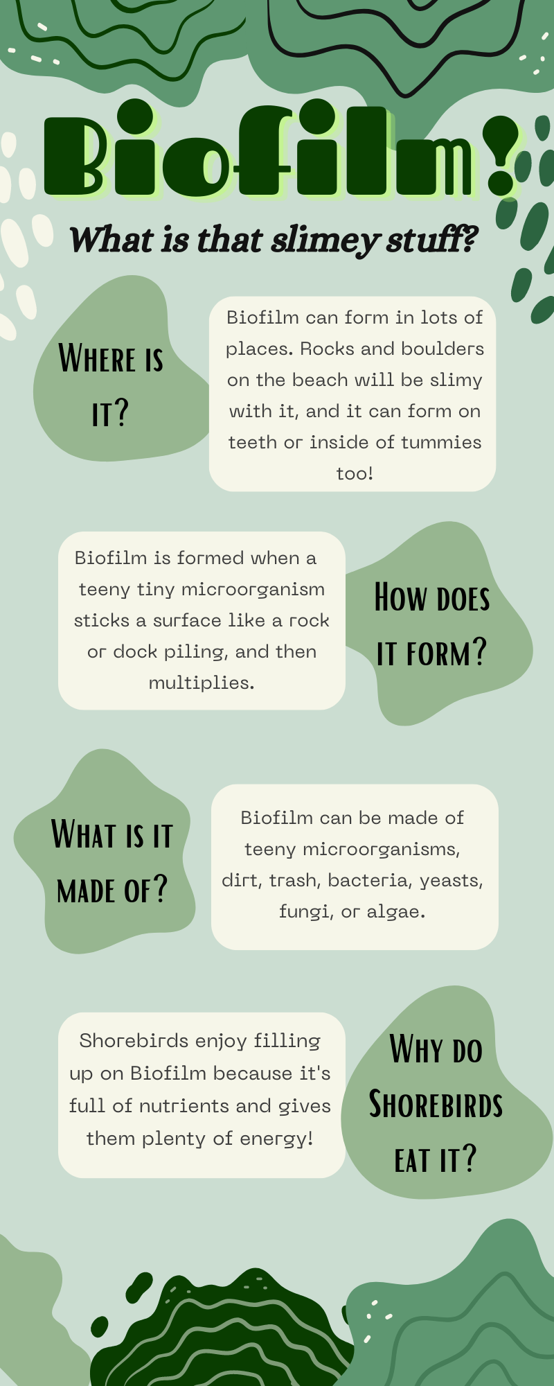 Kid's What is Biofilm — Cape Cod Maritime Museum