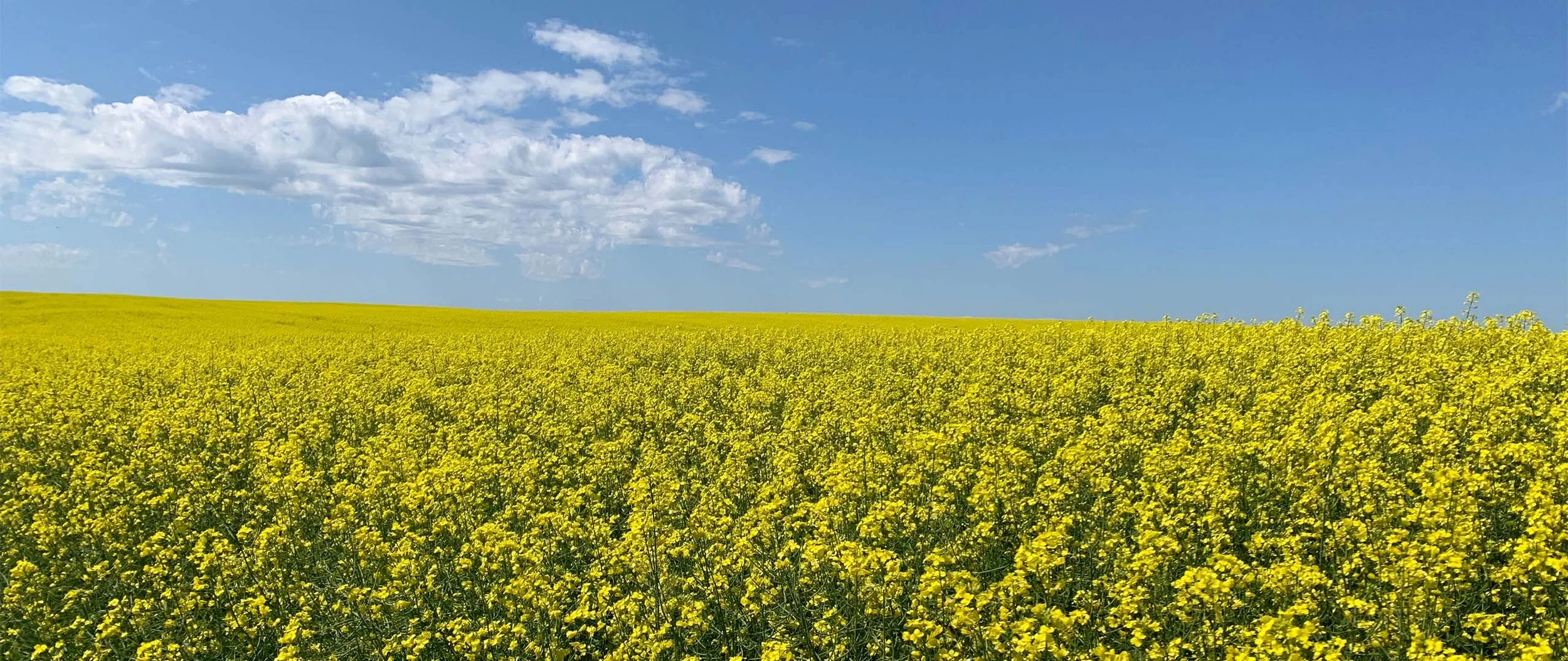 Agricultural Input Provider - Taber, Medicine Hat, Lethbridge and ...