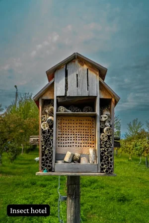 Insect Hotels for the Garden — Plant and Bloom Design Studio