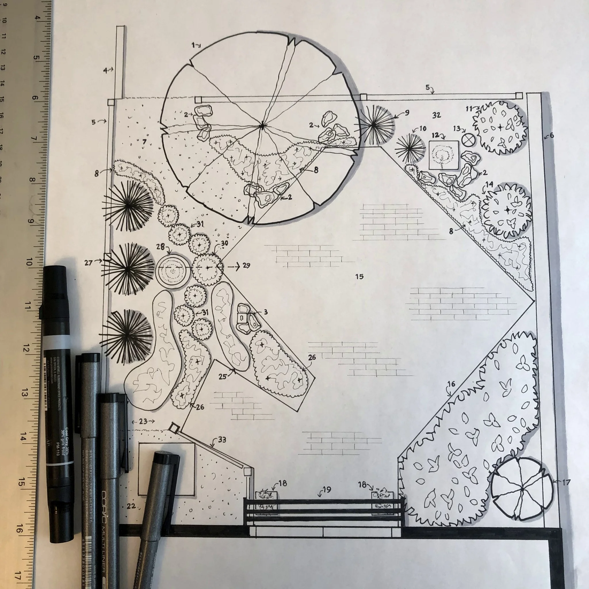 Japanese Snowbell Tree (Styrax japonicus) — Plant and Bloom Design Studio