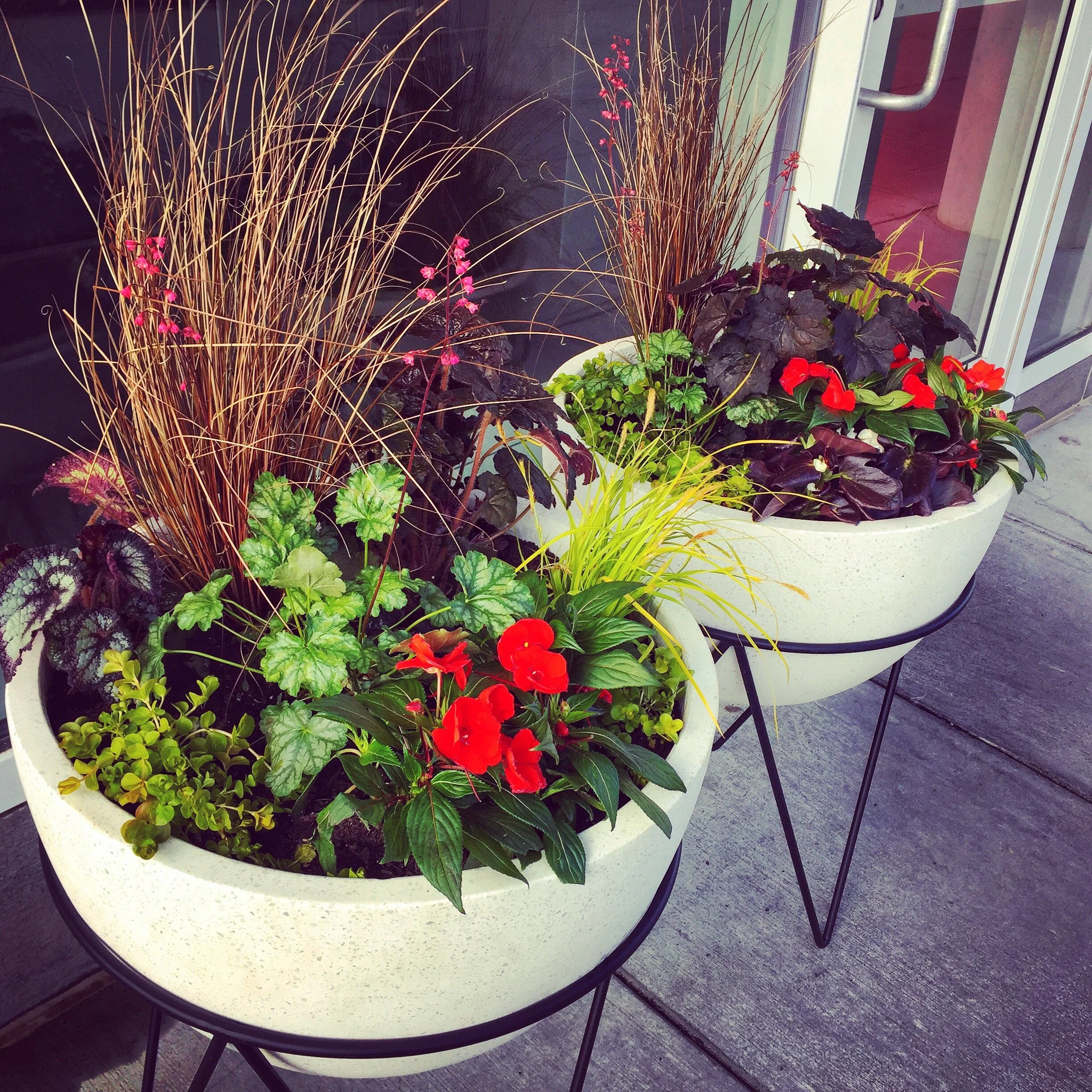 Designing Containers for Shade — Plant and Bloom Design Studio