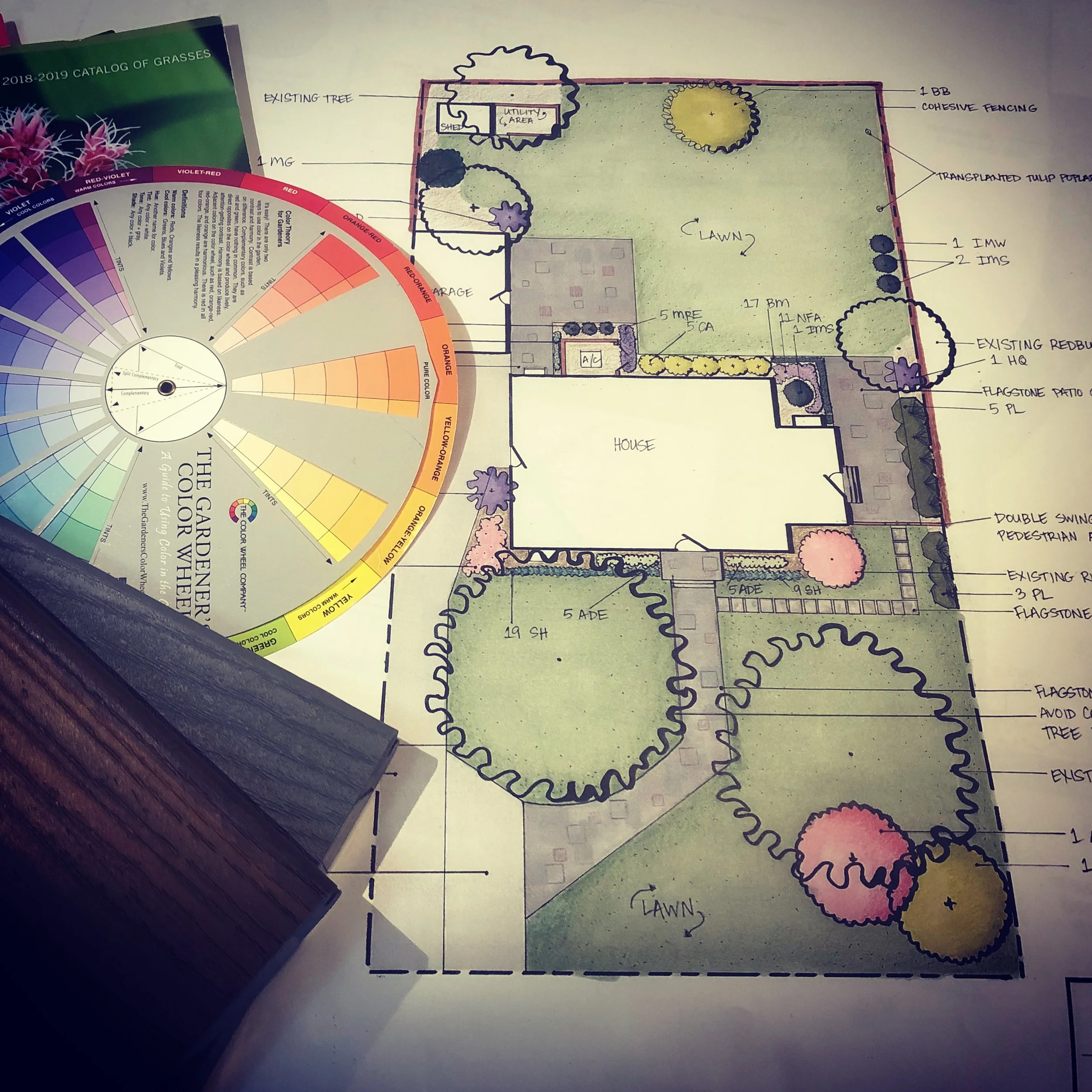 Japanese Snowbell Tree (Styrax japonicus) — Plant and Bloom Design Studio