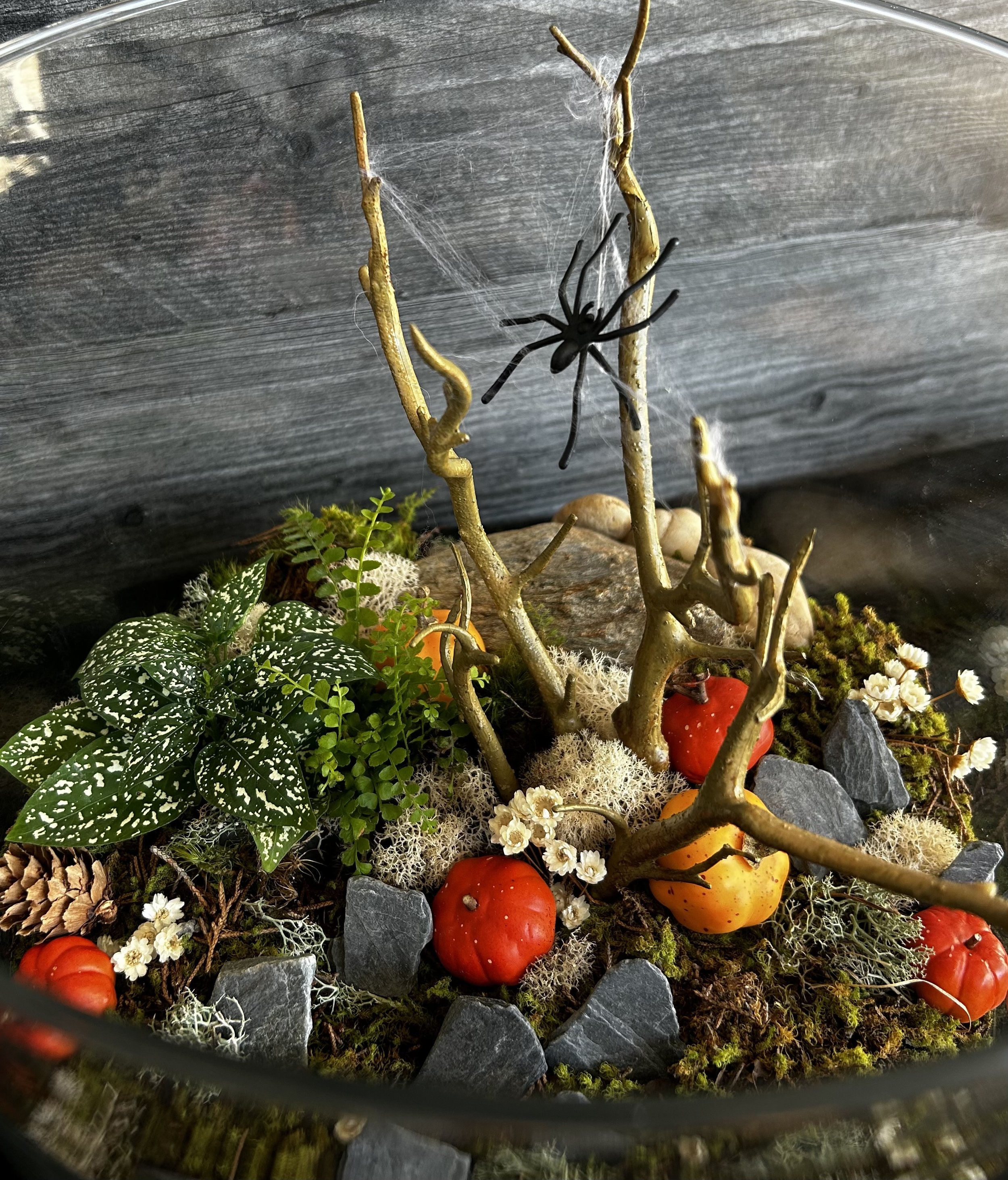 Open Halloween Terrarium - The Most Frightful Halloween Decoration with ...