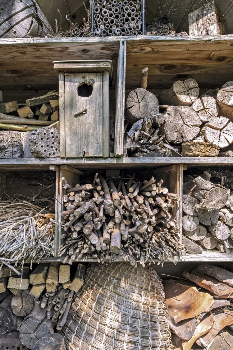 Insect Hotels — Plant and Bloom Design Studio