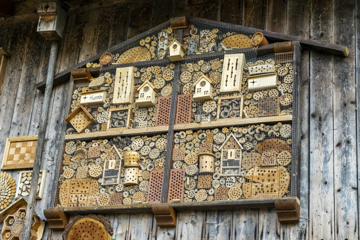 Insect Hotels — Plant and Bloom Design Studio