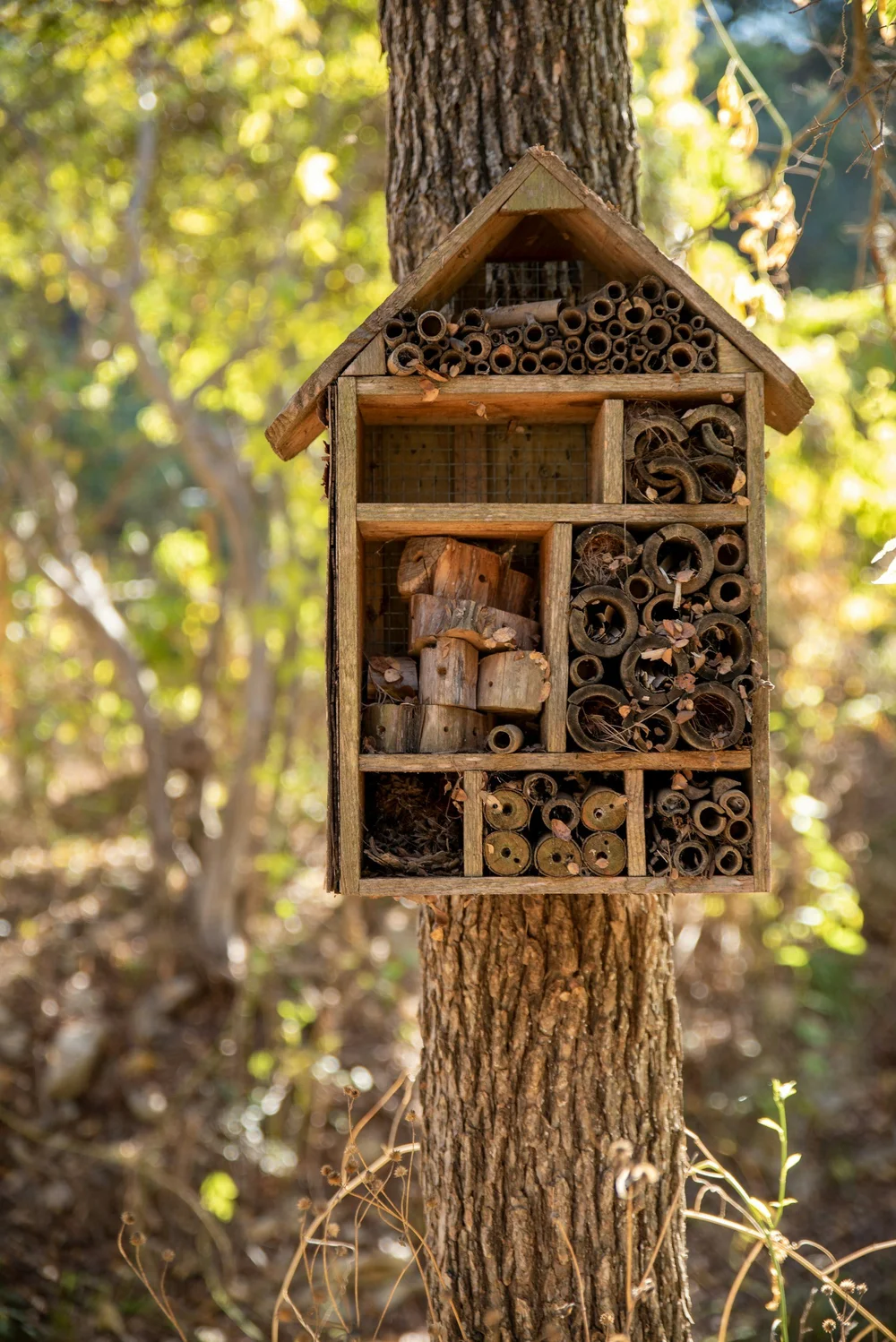 Insect Hotels — Plant and Bloom Design Studio