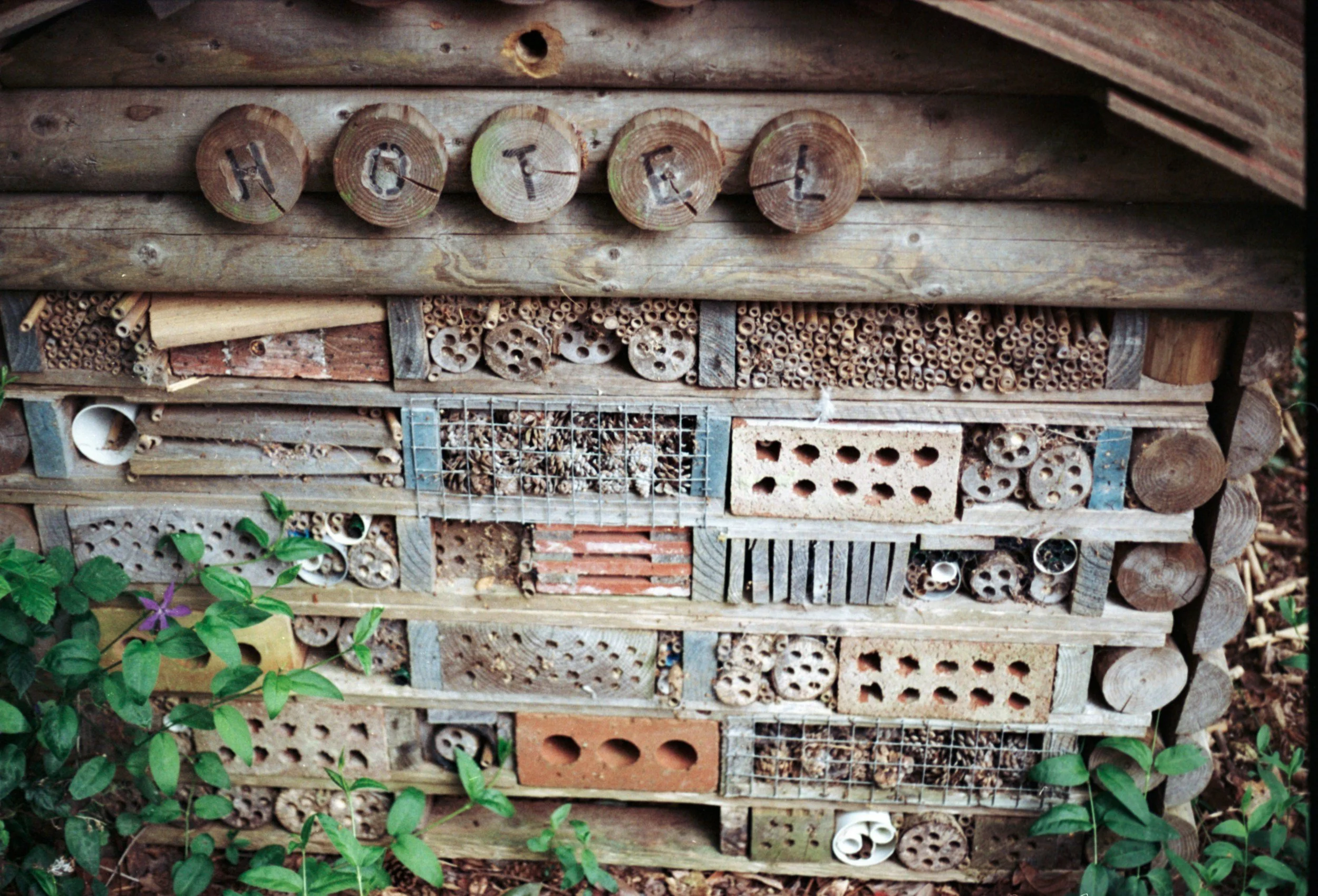 Insect Hotels — Plant and Bloom Design Studio