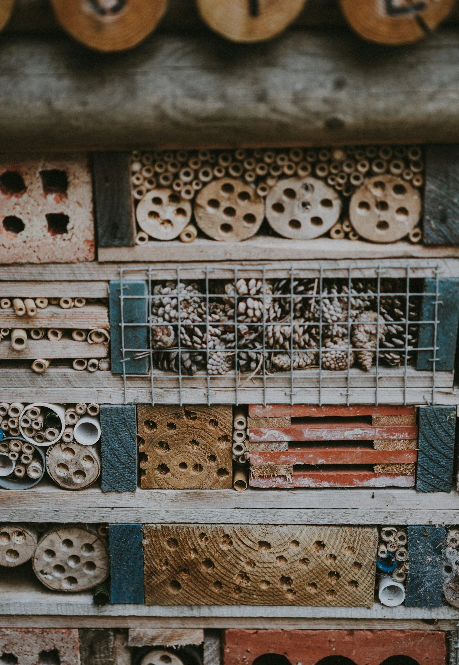 Insect Hotels — Plant and Bloom Design Studio