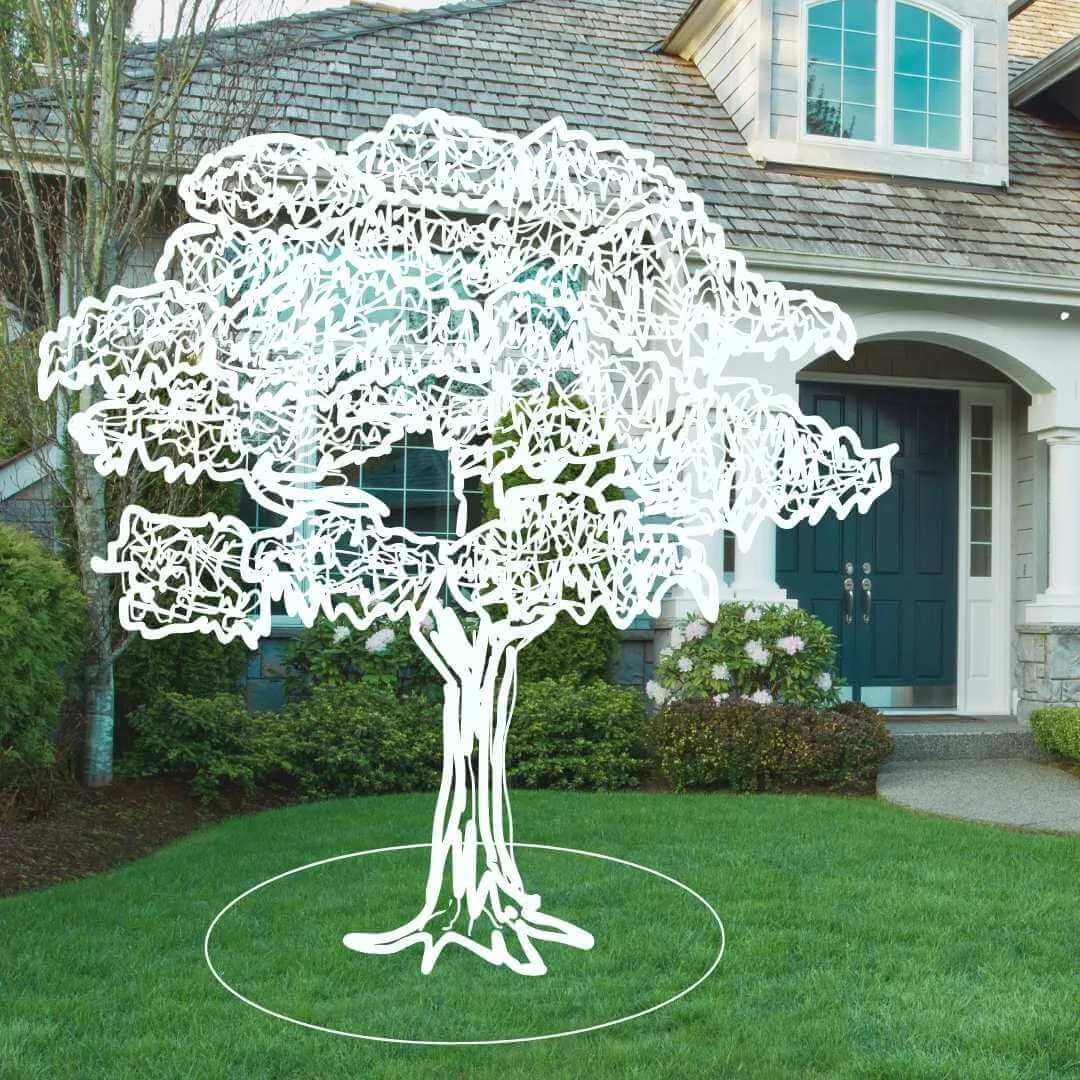 Trees — Landscape Design Inspiration — Plant and Bloom Design Studio
