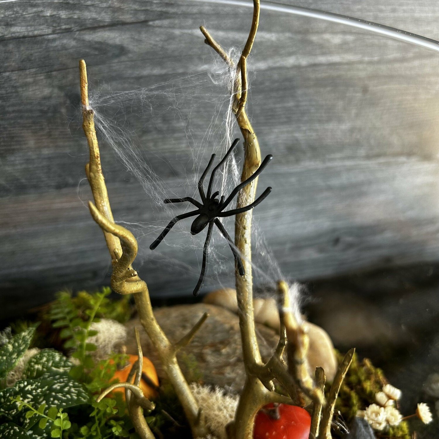Open Halloween Terrarium - The Most Frightful Halloween Decoration with ...