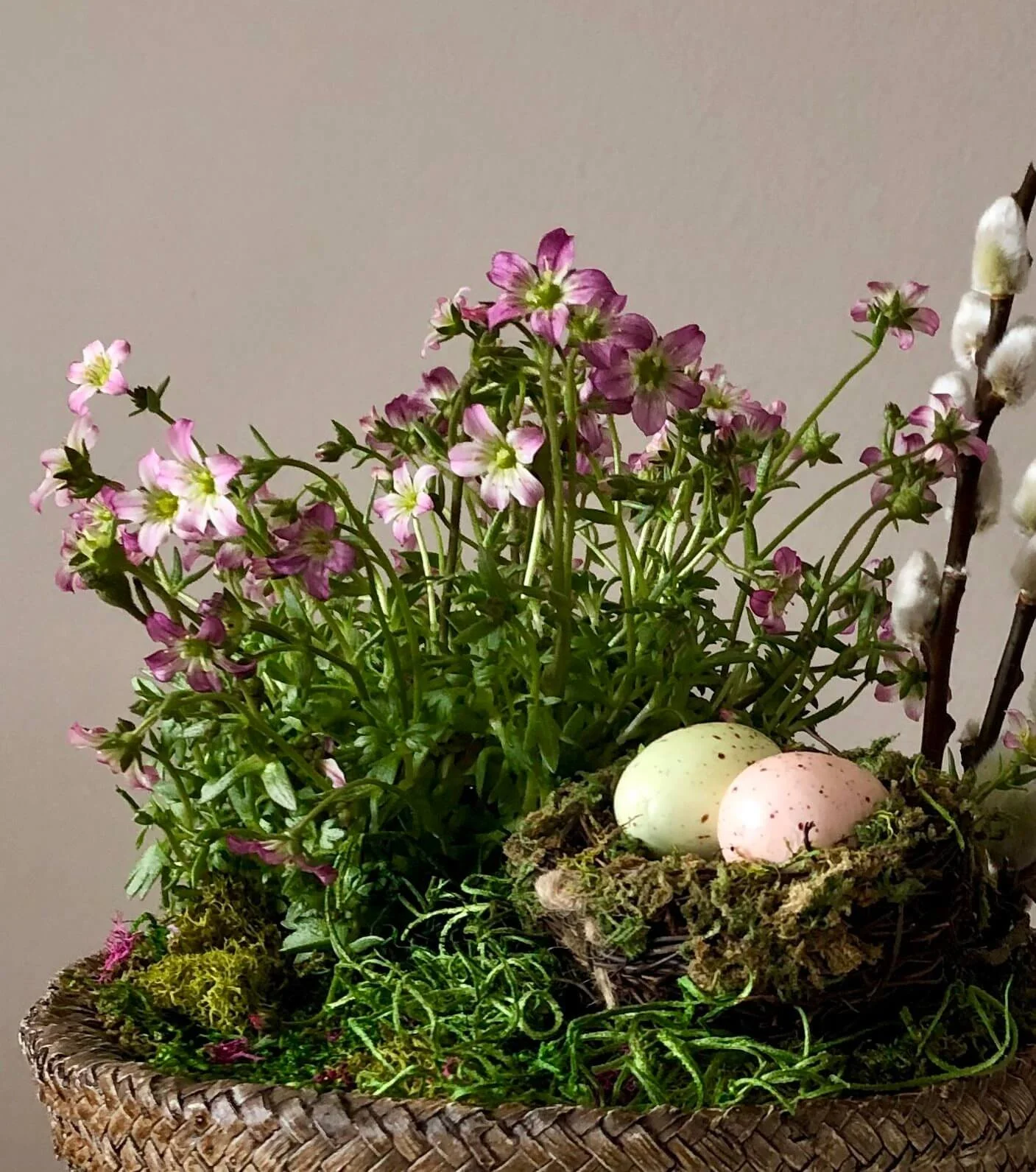 Spring is in the Air! Indoor Spring Container Garden — Plant and Bloom ...
