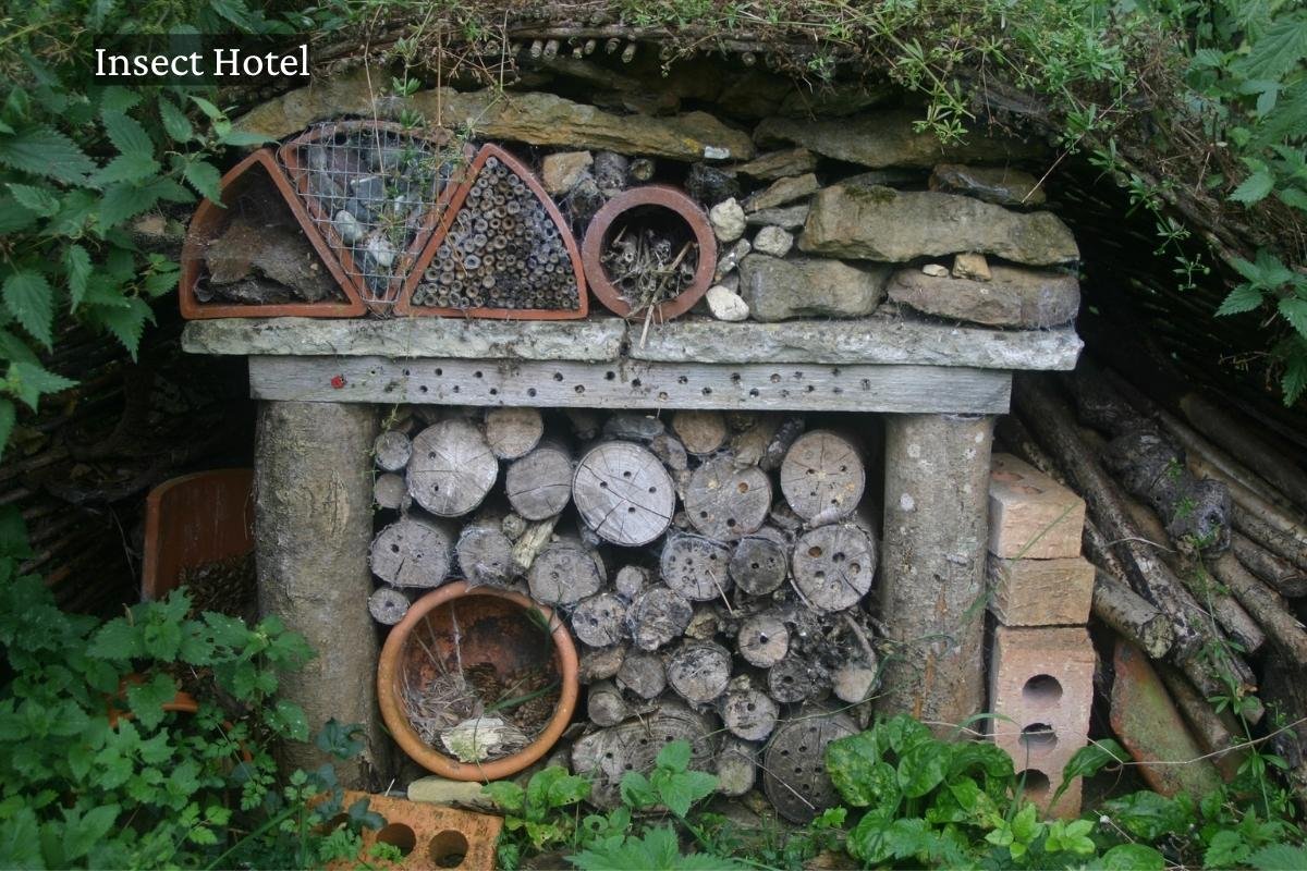 Insect Hotels for the Garden — Plant and Bloom Design Studio