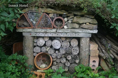 Insect Hotels for the Garden — Plant and Bloom Design Studio