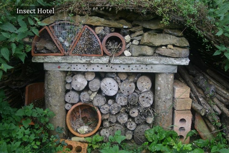 Insect Hotels for the Garden — Plant and Bloom Design Studio