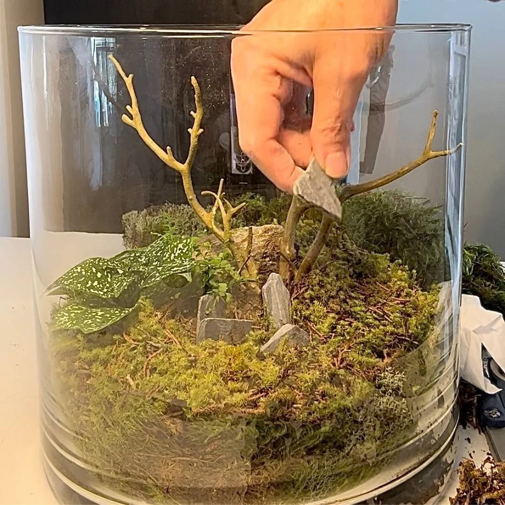 Halloween Terrarium — Plant and Bloom Design Studio