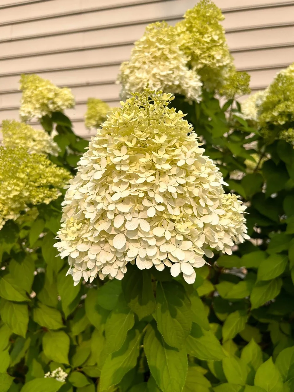 A Simple Guide to Everything You Need to Know About the Different Types ...