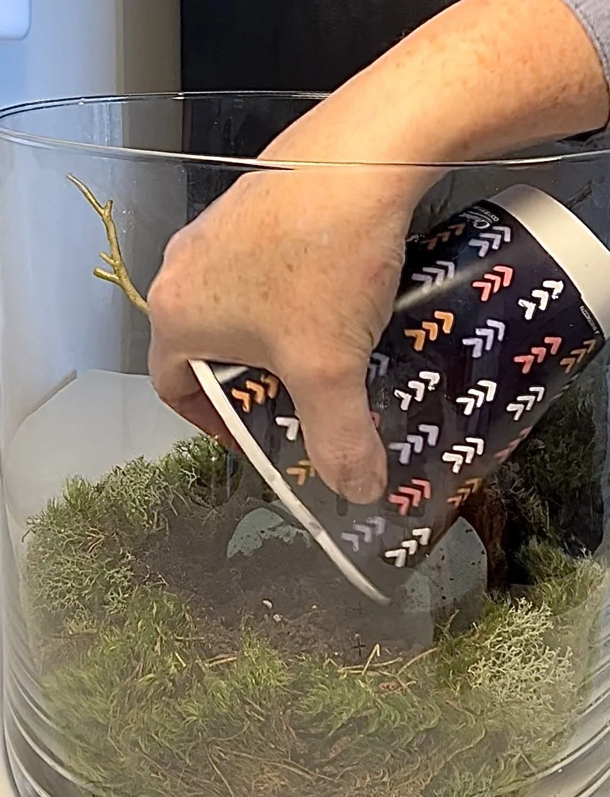 Open Halloween Terrarium - The Most Frightful Halloween Decoration with ...