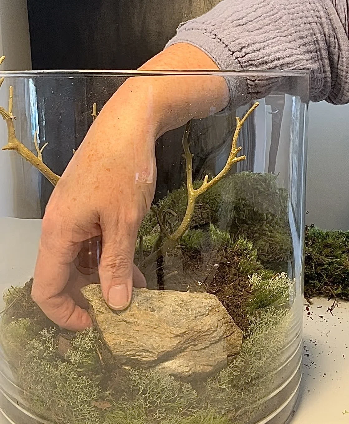 Open Halloween Terrarium - The Most Frightful Halloween Decoration with ...
